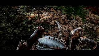 Beautiful Forest In Skyrim at Skyrim Special Edition Nexus - Mods and ...