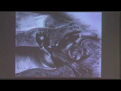 Dr. Charles Limb: “Music in the Mind"