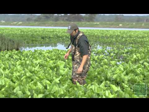 TPWD production on Richland Creek WMA | Richland Creek Wildlife ...