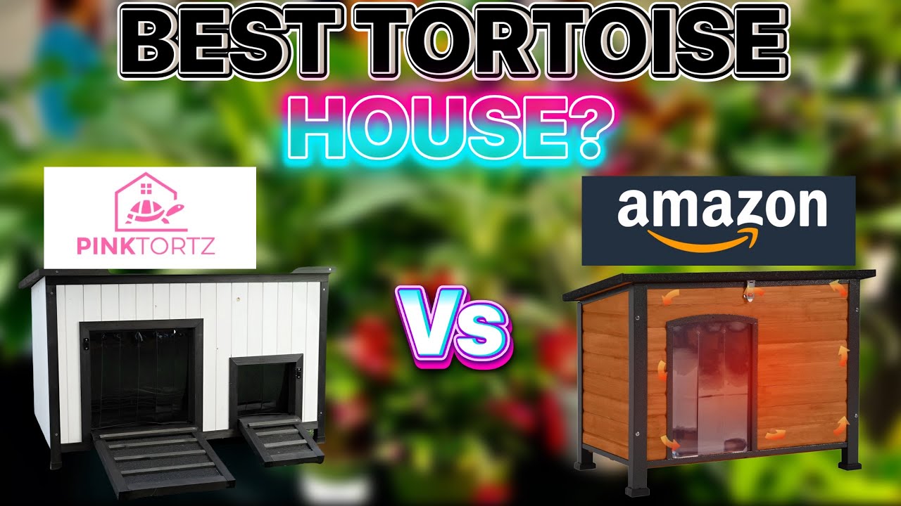 The Best Outdoor Tortoise house?