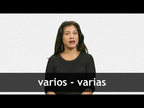 English Translation of “VARIOS” | Collins Spanish-English Dictionary