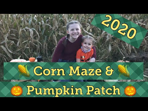 Pumpkin Patch & Corn Maze 2020 Essential Workers [Fall Family Fun]