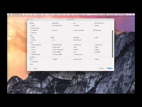 Using IntelliJ and Spring Initializer to Start a New Project