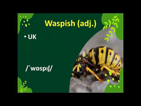 Waspish/Animal Words/UK and US Pronunciation/ Meaning in Urdu and English/ Sentence in English