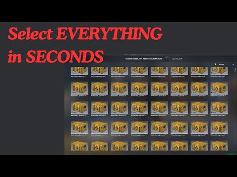 Quick select multiple Skins in CS2 Storage Container with Autohotkey Script