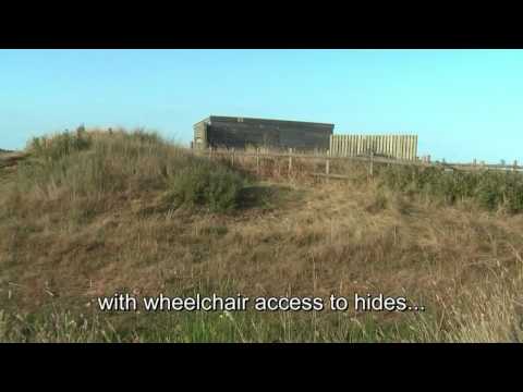 Reserves Guide - Oare Marshes