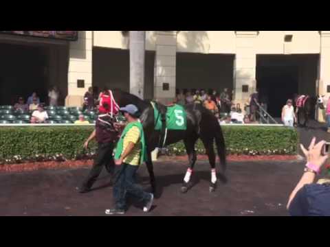 Mark Belling Annual Cruise: Gulfstream