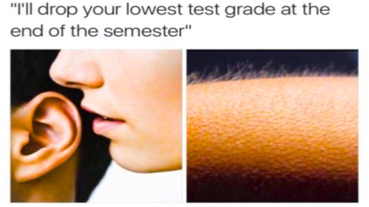 TOP 69 TUMBLR POSTS V11