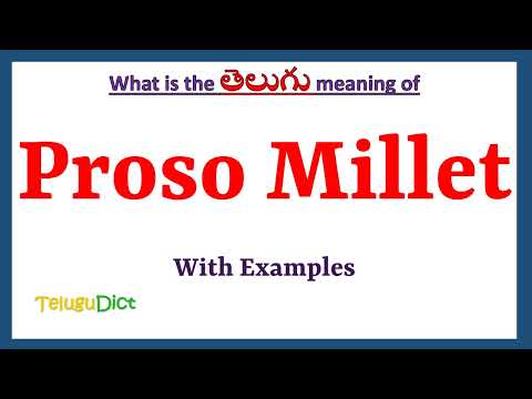Proso Millet Meaning in Telugu | Proso Millet in Telugu | Proso Millet in Telugu Dictionary |