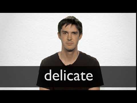 Deutsche Übersetzung von “DELICATE” | Collins Englisch-Deutsch Wörterbuch