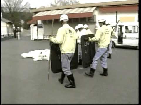 Meme Watch: This Falling Bear's Plight Is Unbearably Funny – UPROXX