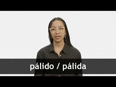 English Translation of “PÁLIDO” | Collins Spanish-English Dictionary