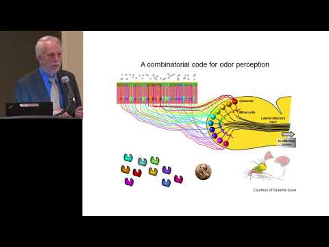 ILSI NA: ASN2018: Taste and Flavor: Mechanism, Evolution, and Function (Gary Beauchamp)
