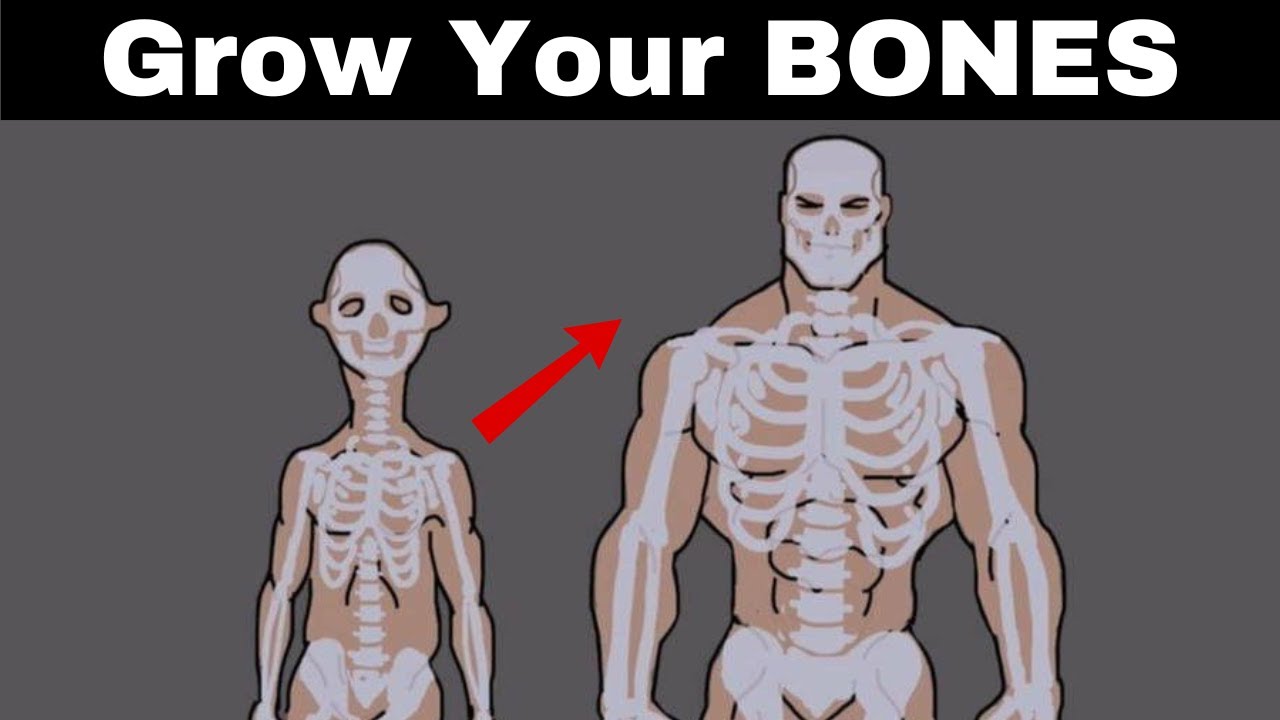 Unlocking Bone Growth: The Essential Hormones for Stronger Bones ...