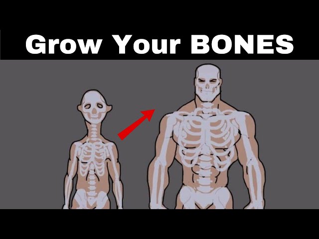 Unlocking Bone Growth: The Essential Hormones for Stronger Bones | Galaxy
