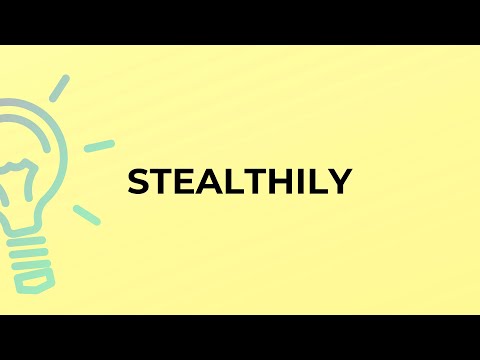 What is the meaning of the word STEALTHILY?