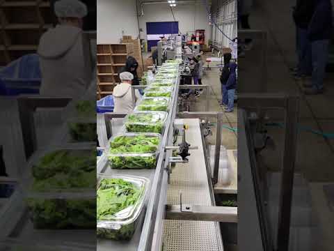 Lettuce Packaging & Labeling Line