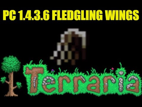 Terraria PC 1.4.3.6 Fledgling Wings Seed With Bonus Dad Joke!!