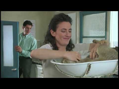 Noah's Ark S1 Ep. 6 - Family Matters