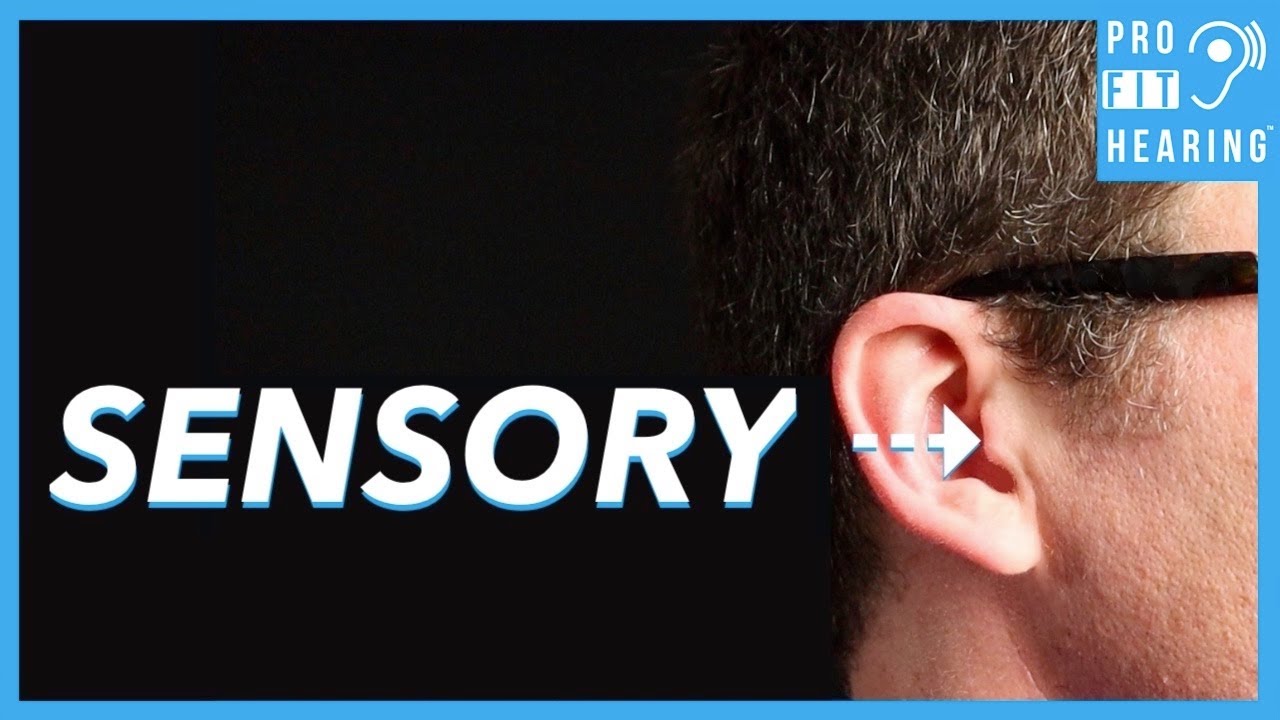 Hearing Loss? - Sensorineural Hearing Loss and the Inner Ear