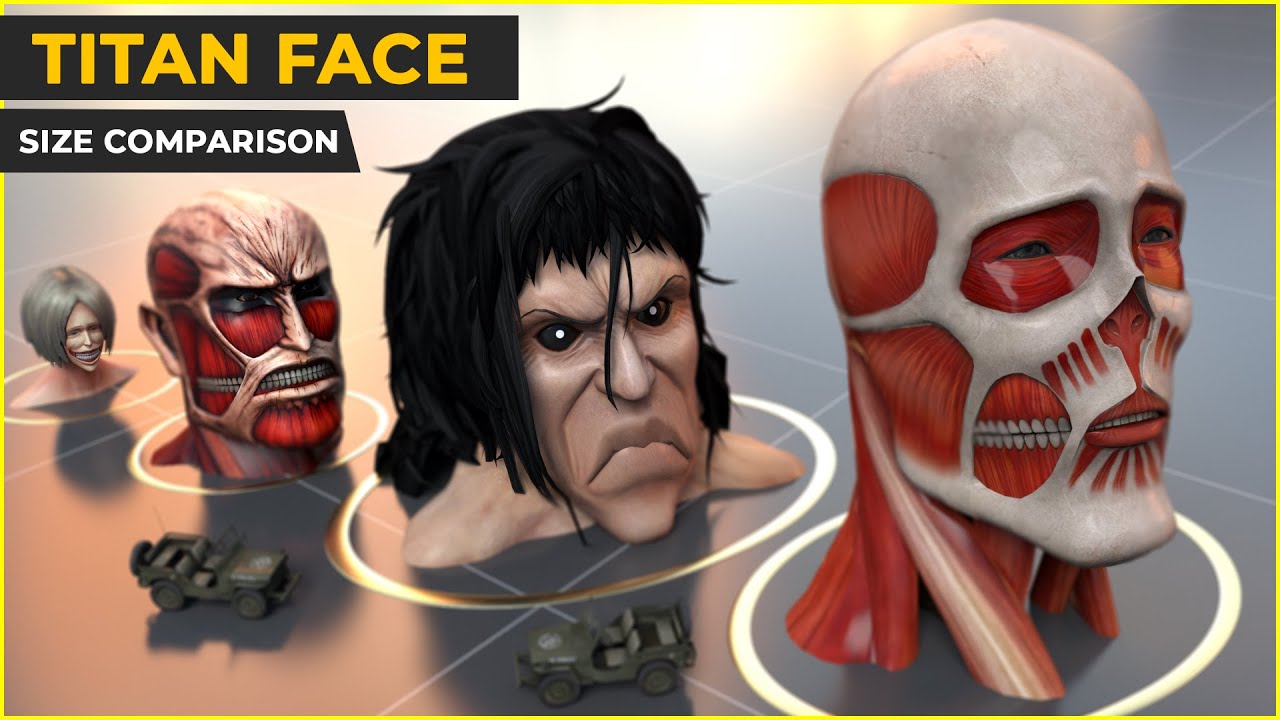 Attack on Titans Face Size Comparison | Titans Face size 3D