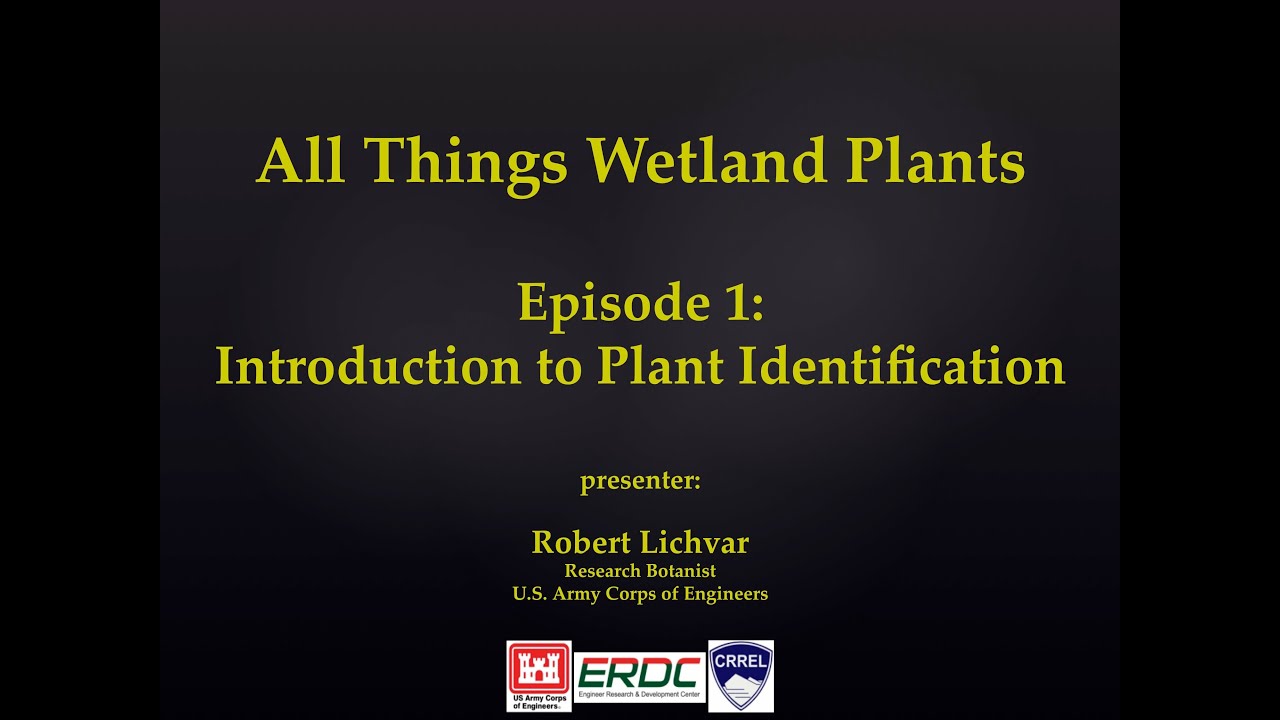 Introduction to Plant Identification