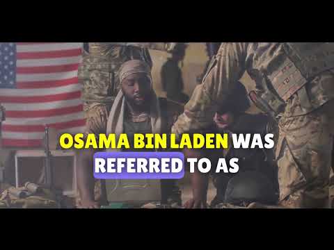 Unveiled Secrets: Decoding Declassified Military Codes