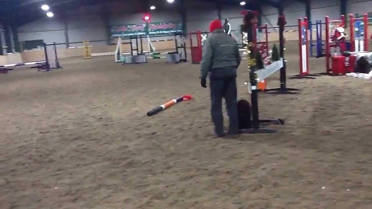 Jumping jack flash at lane farm equestrian