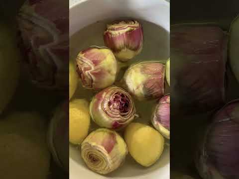 Rome in Spring 2024 - What to expect | romewise