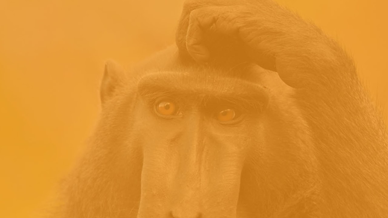 BitmonkeyTV | Tech Tip Tuesday 'Take 2'