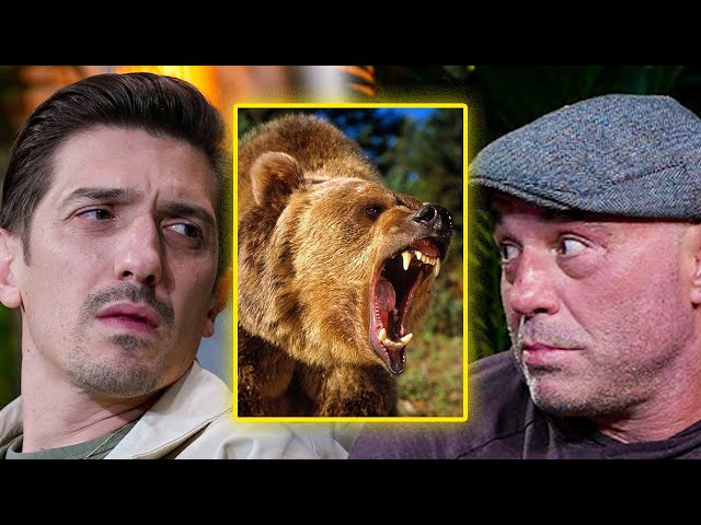 "There was this f**king giant beast just running through the camp ...