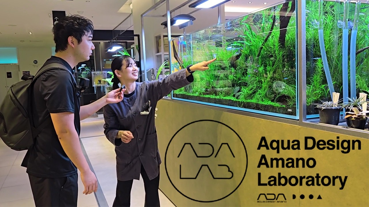 Tokyo ADA Lab fish tank aquascape FULL TOUR + INTERVIEW