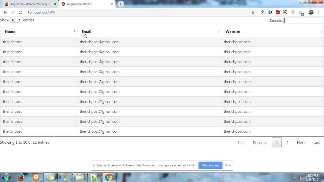 Angular 8 datatable working demo and working code