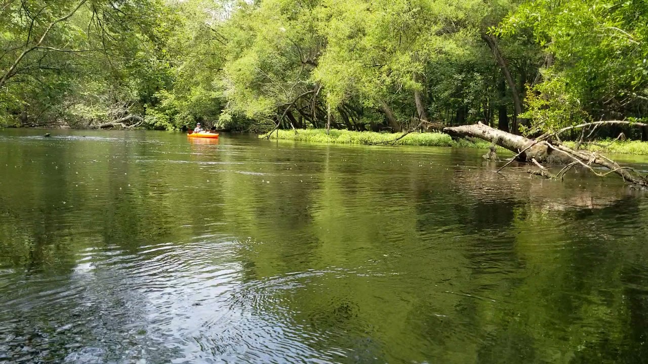 Black River in Williamsburg County of South Carolina