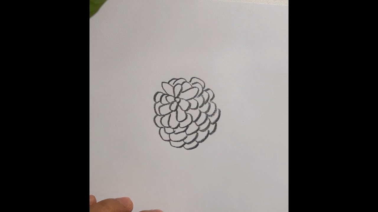 #Shorts | Cómo dibujar  una PIÑA DE NAVIDAD | How to draw a CHRISTMAS PINEAPPLE