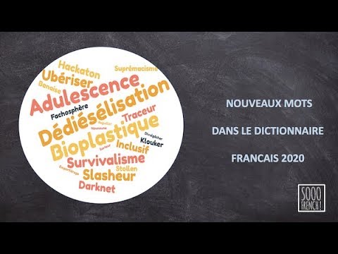 Brand New French Words / Nouveaux Mots Français