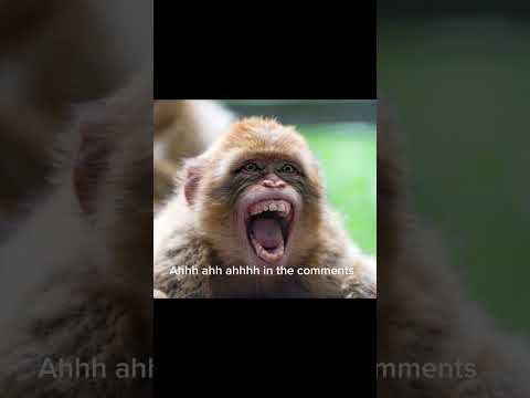 The top comment is my profile picture for a week #funny #comedy #viral #memes #comedymemes #viral οΏΌ