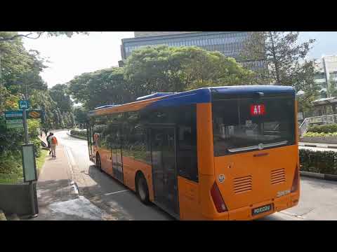 NUS ISB: [PD1022U] On Service A1 Departing Yusof Ishak House Bus Stop Along Kent Ridge Crescent