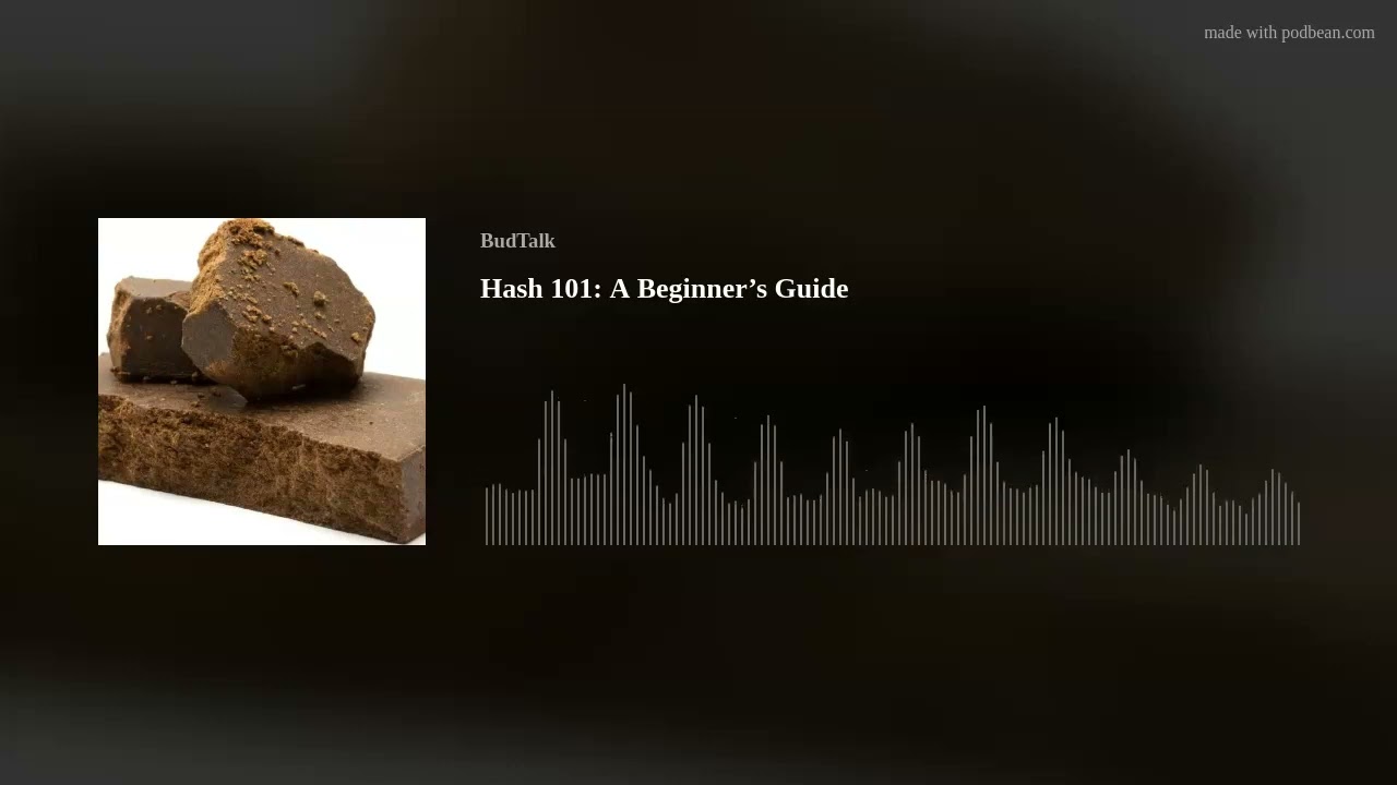 Hash 101: A Beginner’s Guide