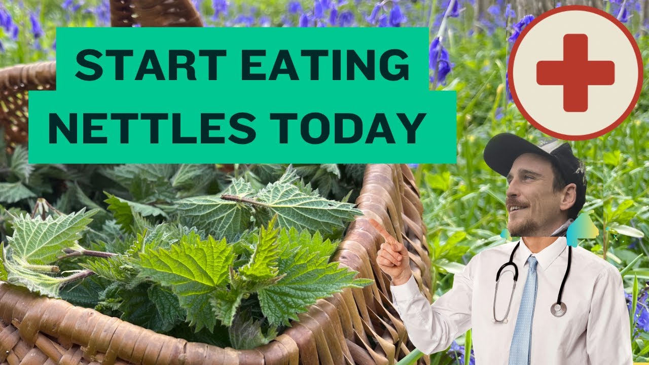 Stinging Nettle Superfood