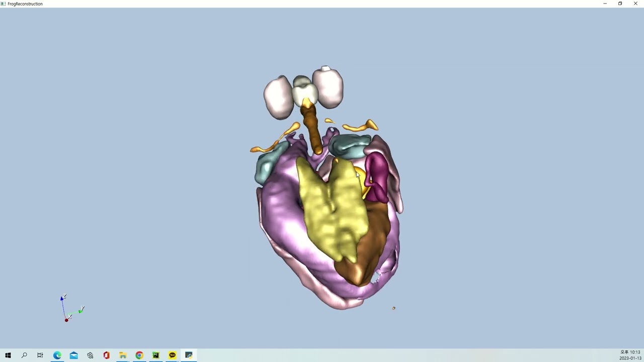 VTK Python Example - FrogReconstruction, Fig12-9d