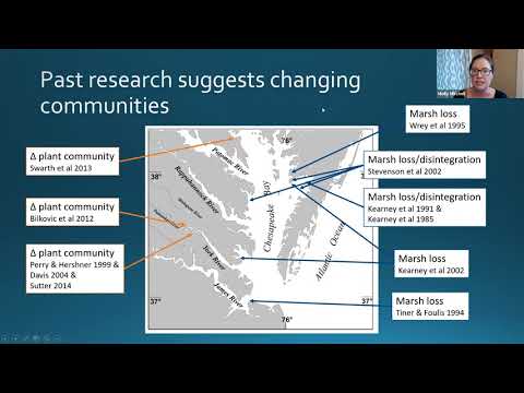 Marsh resilience under climate change: Management and adaptation considerations with Molly Mitchell