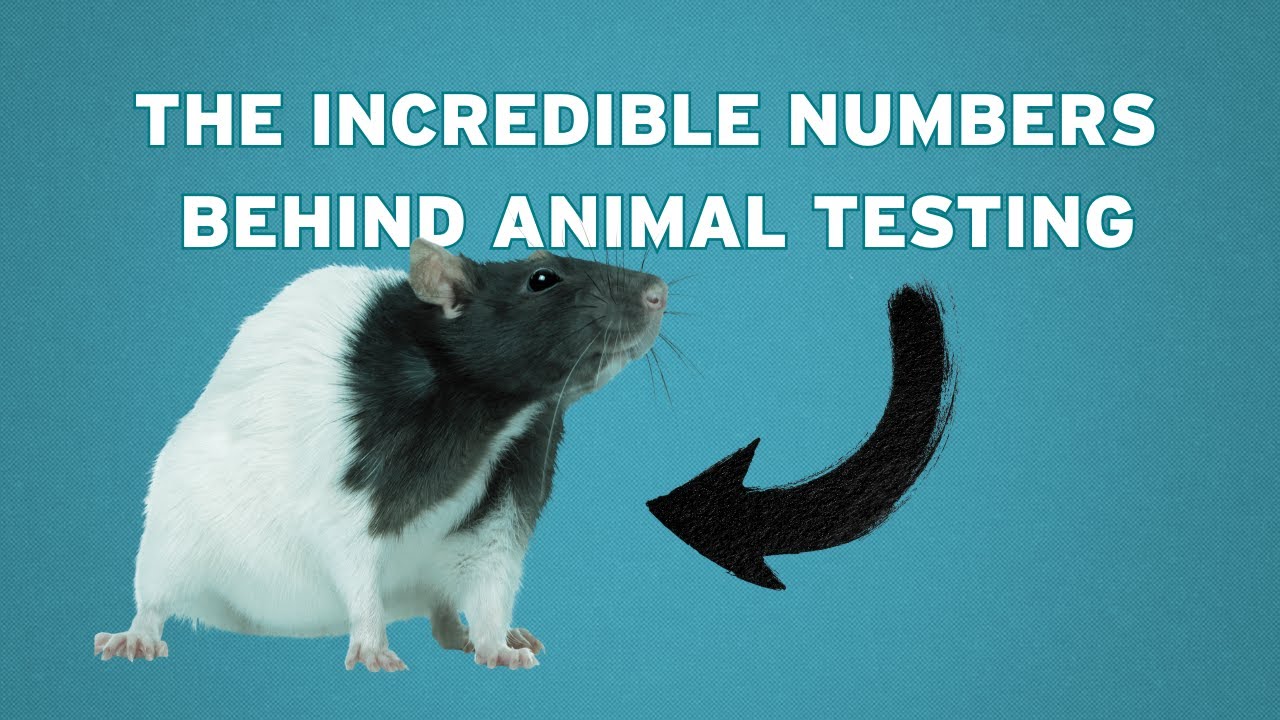 The Incredible Numbers Behind Animal Testing!