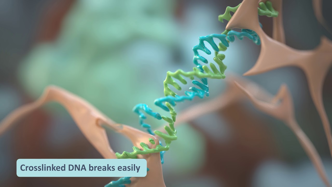 Cancer genomics - getting high quality DNA from tumour samples