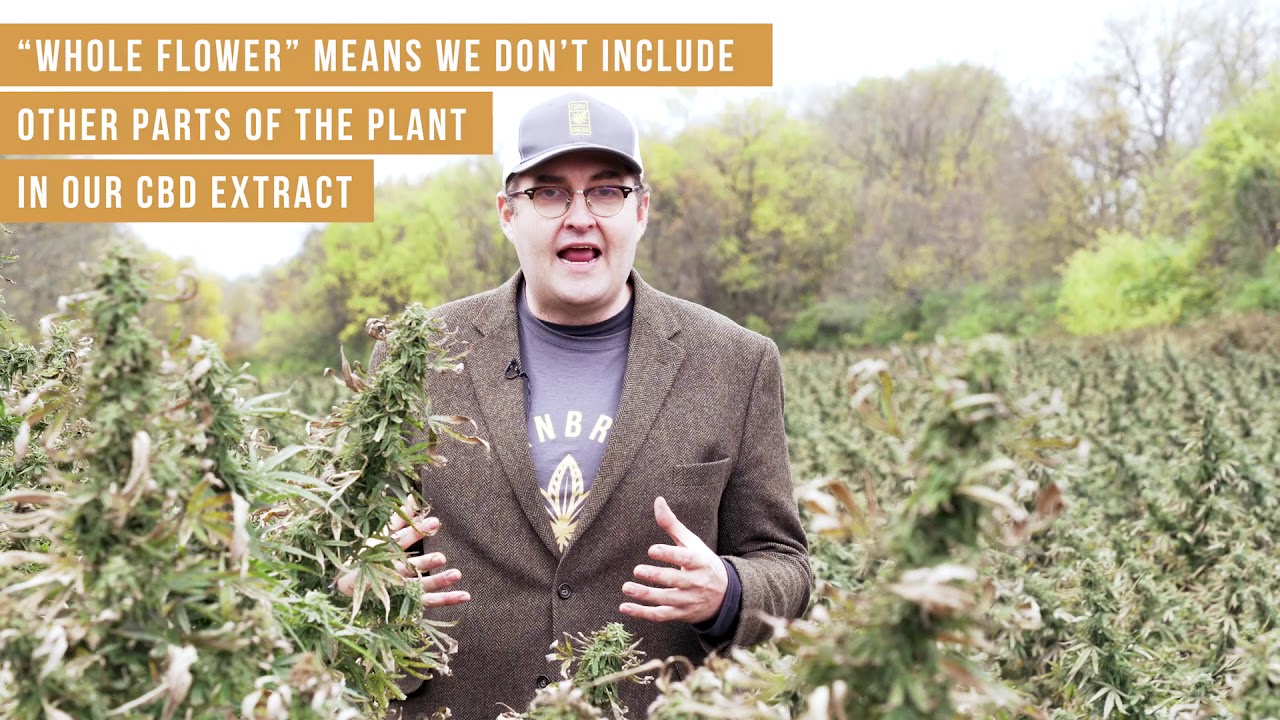 How is Full Spectrum CBD Oil Made?