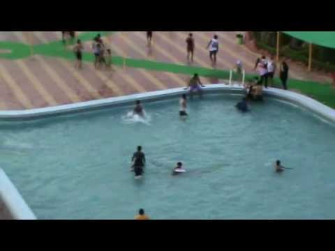 MM Fun City Raipur – A Hotspot for Adventure Activities | Dabanjans Land