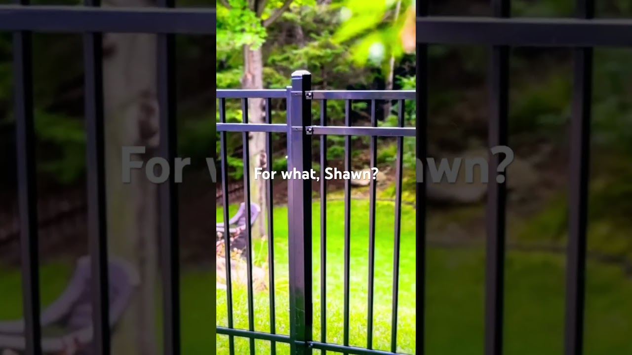 Back when Shawn broke the fence… @fgteev @FVFAMILY