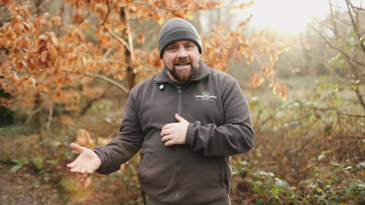 When Your Bareroot Trees First Arrive - Future Forests