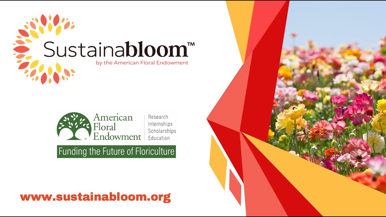 Exploring Sustainabloom Webinar