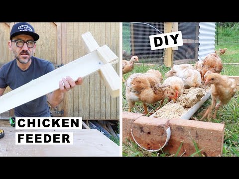 DIY How to make a chicken feeder (Simple & Scrappy)